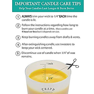 Trapp Signature Home Collection Coastal Sunrise Set 2oz Votive Scented Candle, Set of 4, Includes - No. 72 Amalfi Citron, No. 73 Vetiver Seagrass, No. 25 Lavender de Provence, and No. 20 Water