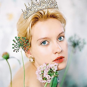 Ondder Gold Crowns and Tiaras for Women Birthday Princess Queen Crown for Girls Rhinestone Wedding Bridal Crown Crystal Quinceanera Crown Bride Tiara Headbands for Party Prom Pageant Costume Halloween