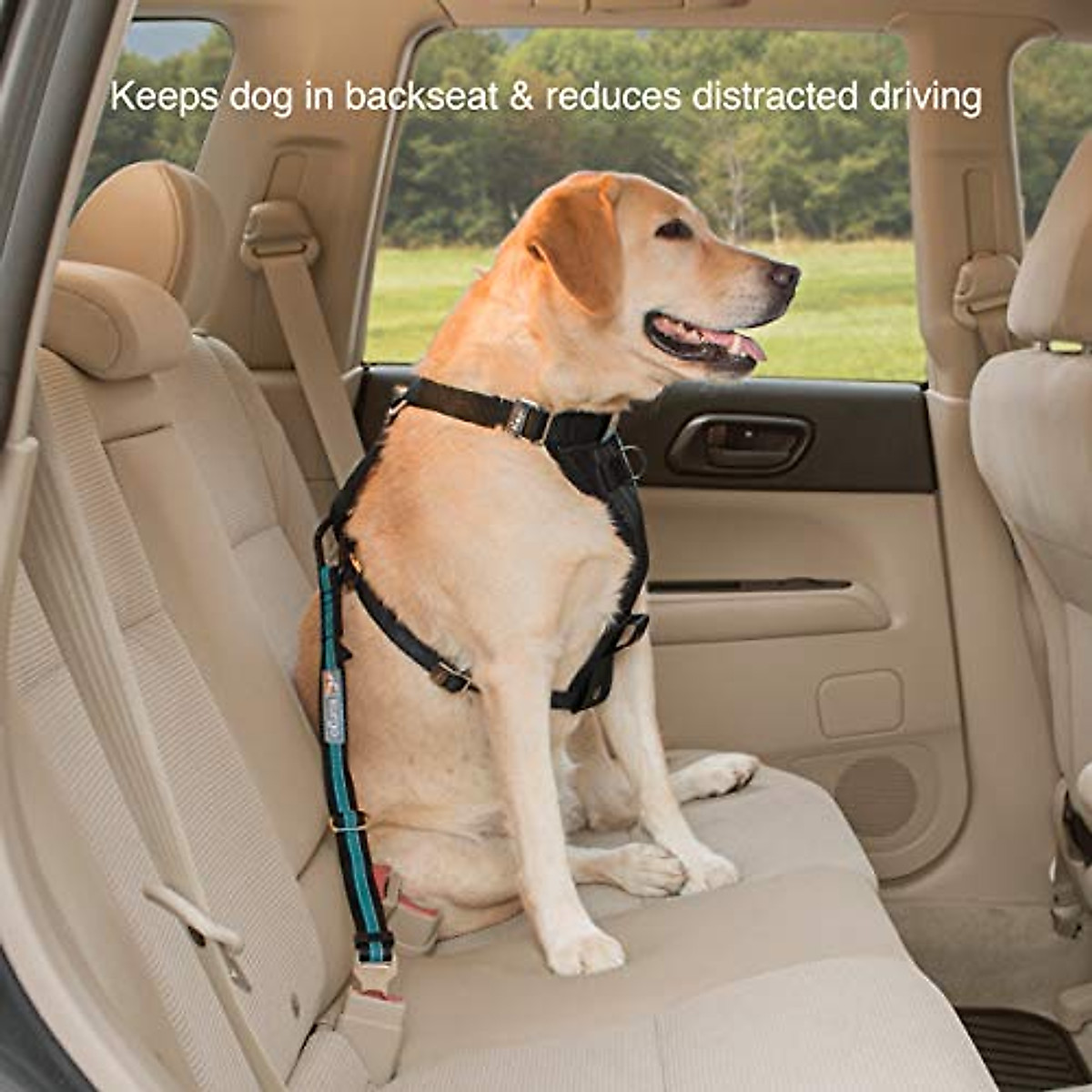 Kurgo 2 Pack Direct to Seatbelt Tether for Dogs. Universal Car Seat Belt for Pets, Adjustable Dog Safety Belt, Carabiner Clip, Use with Any Pet Harness, Charcoal Grey
