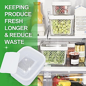 PROKITCHEN Carbon Filter Refills Compatible with OXO Greensaver Produce Keeper & Crisper Inserts, Compatible with Bluapple Produce Saver Balls, Filter Refill Bags, Keep Fresh Packet Refills, 8PCS