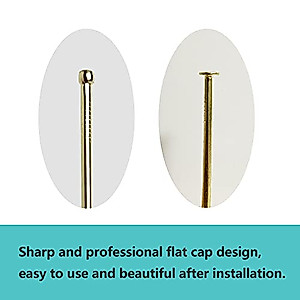 Small Hammer Nails Set, Include Finishing Nails 1-1/2"in (120pcs) & Flat Head Nails 1-1/2"in (120pcs) &100g Engineers' Hammer, Upgrade Brass Plated Gold Nails Hardware for Wood/Wall