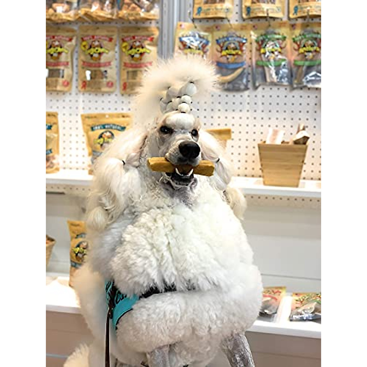 Tibetan Dog Chew – All Natural Yak Cheese Chew Bones, A Healthy Treat to Keep Your Dog Busy and Entertained for Hours, for Aggressive Chewers, Limited Ingredients, No Chemicals (1 Pound, Large)