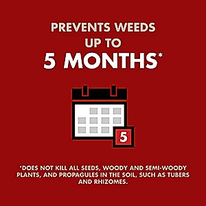 Spectracide Weed Killer, 1 gal