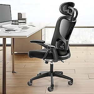 VEVOR Office Chair, High Back Ergonomic Desk Chair with Adjustable Lumbar Support & Headrest, 2D Armrest, Polypropylene Chair for Home Office, Black, 286 lbs Capacity