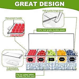 Ice Chilled Condiment Server Caddy, Bar Fruit Caddy with Lid and 5 Removable Compartments, Plastic Storage Food Container Clear Ice Condiment Serving Tray for Party, Toppings Bar Container