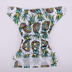Baby Pocket Cloth Diaper Nappy Hook and Loop (Pineapples)