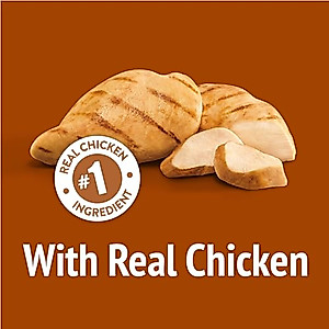 Purina Friskies Cat Treats, Party Mix Chicken Lovers Crunch - 20 Ounce (Pack of 1)