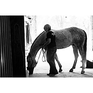 Mega-Cell (25lb) Balanced Vitamin & Mineral Support for Horses