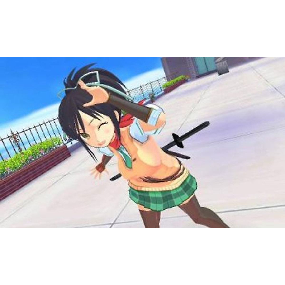 Senran Kagura - Secret File-visual Book and Soundtrack Drama Cd Set - With Benefits Girls - Shin'ei of Girls