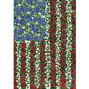 Toland Home Garden 109592 Field Of Glory Patriotic Flag 28x40 Inch Double Sided Patriotic Garden Flag for Outdoor House Flower Flag Yard Decoration