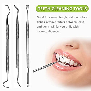 PARYUNGR Dental Tools, Professional Teeth Cleaning Oral Care Hygiene Kit, Stainless Steel Dental Pick Tooth Scraper Tartar Plaque Remover for Dentist, Personal, Pet Use with Storage Box