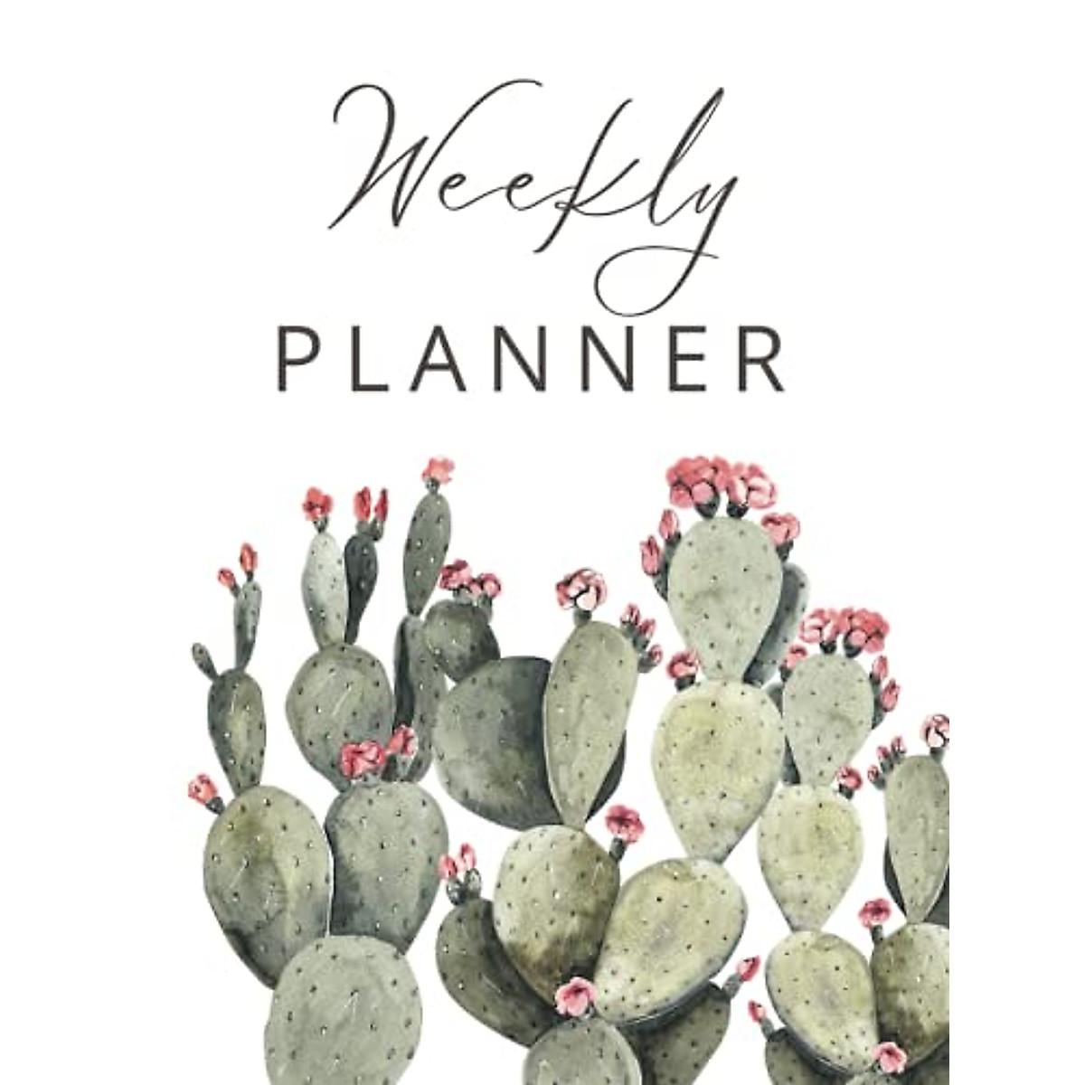 Weekly Cactus Planner 2024: Large One Year Monthly Planner From January 2024 to December 2024 (12 Months) With Federal Holidays | Monthly Weekly Agenda & Schedule Organizer |