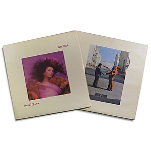Collector Essentials 100 Clear LP Outer Sleeves - USA Made (3mil Thick) Preserve Your Single, Double and Gatefold Vinyl Album Covers in Our Polyethylene 12 5/8 x 12 5/8" High Clarity Brand Poly Bags.