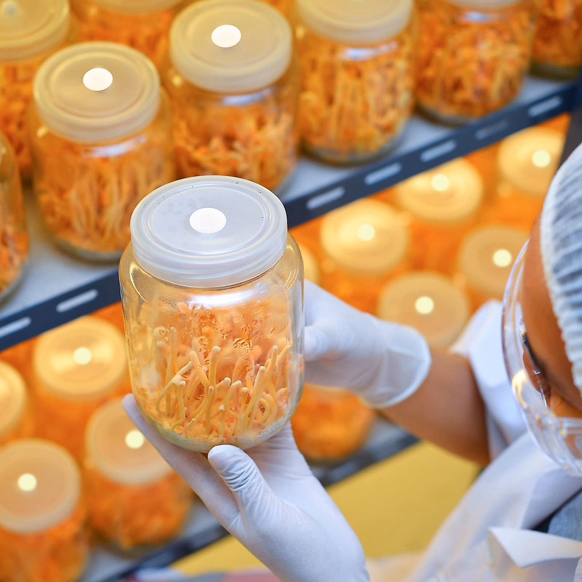 64Pcs 20mm Diameter Synthetic Filter disc Hydrophobic PTFE Membrane 0.3um Pore Size Strong Adhesive for Mushroom Cultivation