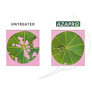NeemTree Organics Azapro - Botanical Insecticide - Pest Management and Growth Control Concentrate for Organic Gardening (4 OZ)
