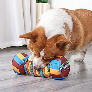 Duuclume Tough Dog Chew Toy for Aggressive Chewers, Squeaky Dumbbell Toy for Indoor Outdoor Playing, Indestructible Interactive Dog Toys for Small Medium Large Dogs Grind & Clean Teeth