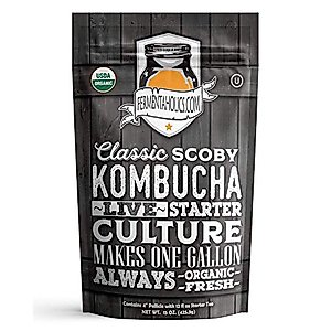 Fermentaholics ORGANIC Kombucha SCOBY With Twelve Ounces of Starter Tea - Live Starter Culture - Makes A One Gallon Batch - 1.5 Cups of Strong Mature Starter Tea - Brew Your Own Kombucha