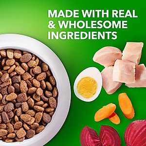 IAMS Smart Puppy Large Breed Dry Dog Food with Real Chicken, 15 lb. Bag