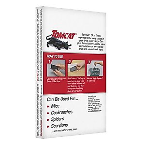 Tomcat Mouse Trap with Immediate Grip Glue for Mice, Cockroaches, and Spiders, Ready-to-Use, 2-Pack (8 Glue Traps)