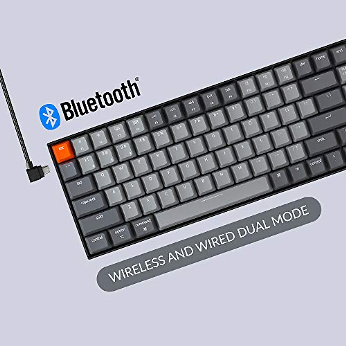 Keychron K4 96% Layout 100 Keys Wireless Bluetooth 5.1/Wired USB Mechanical Gaming Keyboard with Gateron G Pro Blue Switch RGB Backlight N-Key Rollover for Mac Windows PC-Version 2