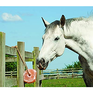 Himalayan Mineral Salt Lick (2-4 lbs on a Rope 100% Natural Product | Salt Block for Horses, Deer, Goats, Cattle, Rabbits | Vermont Salt & Stone (2-4 lbs on a Rope)