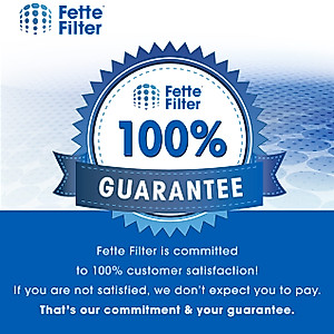 Fette Filter - Air Purifier True Hepa Filter Compatible with Envion Therapure TPP230 & TPP240 Compare to Part # TPP240F - Pack of 2
