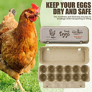 PerKoop 240 Pcs 2x6 Egg Cartons Bulk 1 Dozen Cardboard Egg Cartons Paper Pulp Egg Cartons for Farm Market Family Kitchen Storing Eggs, Chicken Eggs