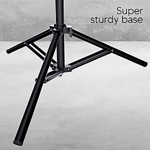 TALK WORKS 10" Selfie Ring Light Compatible w/iPhone 14/Plus/Pro/Max, 13/Mini/Pro/Max, 12/Mini/Pro/Max - Halo LED Circle Phone Holder Tripod Stand for Tiktok, Live Stream, Video Recording (Black)