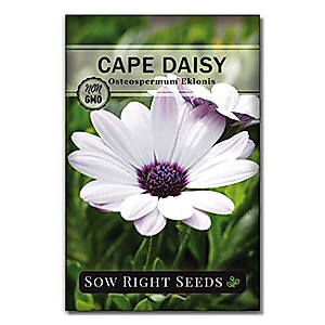 Sow Right Seeds - Flower Seed Garden Collection for Planting - 5 Packets Includes Marigold, Zinnia, Sunflower, Cape Daisy, and Cosmos - Wonderful Gardening Gift