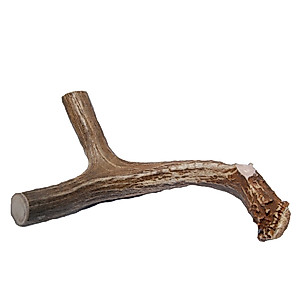 XL Deer Antler Dog Chew - Extra Large, Jumbo, for Large Dogs and Puppies Who are Aggressive Chewers