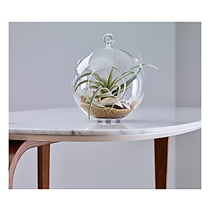 Scotch SP951-NA Bumpers and Door Stops, 1/2" Round, Clear, 40 Count