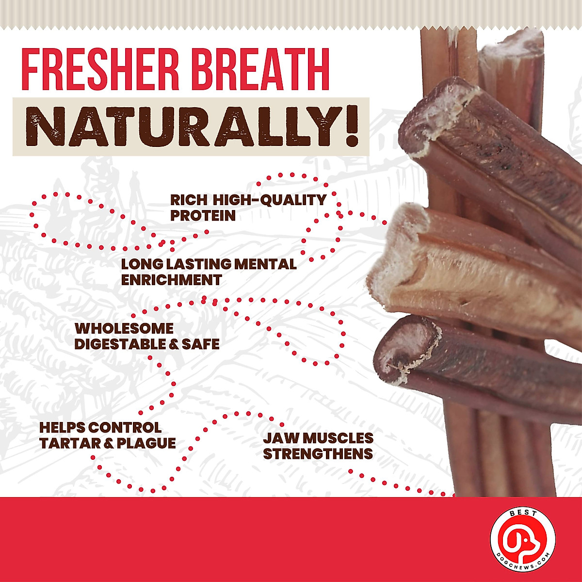 Best Dog Chews Bully Sticks Standard Size -100% All Natural for Dogs Grain and Rawhide Free Beef Chews, Grass-Fed Promotes Joint & Dental Health for All Breed Sizes Dogs and Puppies 12 inch (6 Count)