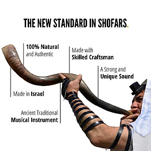 ProShofar Israel Shofar Set, Natural Kudu Horn Shofar, Kosher Shofar Yemenite Traditional Musical Instrument for Jewish Spiritual Ceremonies and Religious Sermons, Made in Israel