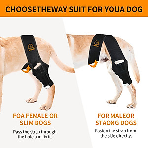 Landwill Dog Knee Brace for Cruciate Ligament Injury Joint Pain Muscle Soreness. Adjustable Dog Leg Brace, Dog Support Brace,Dog Hind Leg Support.(Black L)