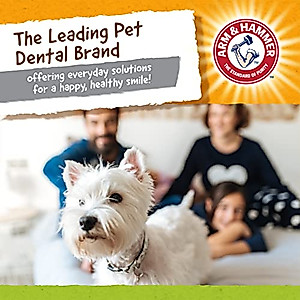 Arm & Hammer for Pets Nubbies Duality Bone Dental Dog Toy- Best Dog Chew Toy for Moderate Chewers- Dog Dental Toy Helps Reduce Plaque & Tartar- Green Apple Flavor Baking Soda (Pack of 1)