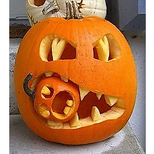 MIXED SEEDS! 50+ Pumpkin and Winter Squash MIX Seeds NON-GMO 25 Varieties Delicious Grown in USA. Rare, Super Profilic and Delicious HARLEY SEEDS