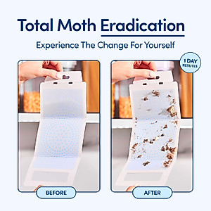 Shieldeck Pantry Moth Traps with Pheromones Prime (8-Pack), Pantry Moth Killer Indoor, Pantry Moth Trap, Pheromone Moth Traps for House Pantry, Sticky Glue Traps, How to Get Rid of Moths in House