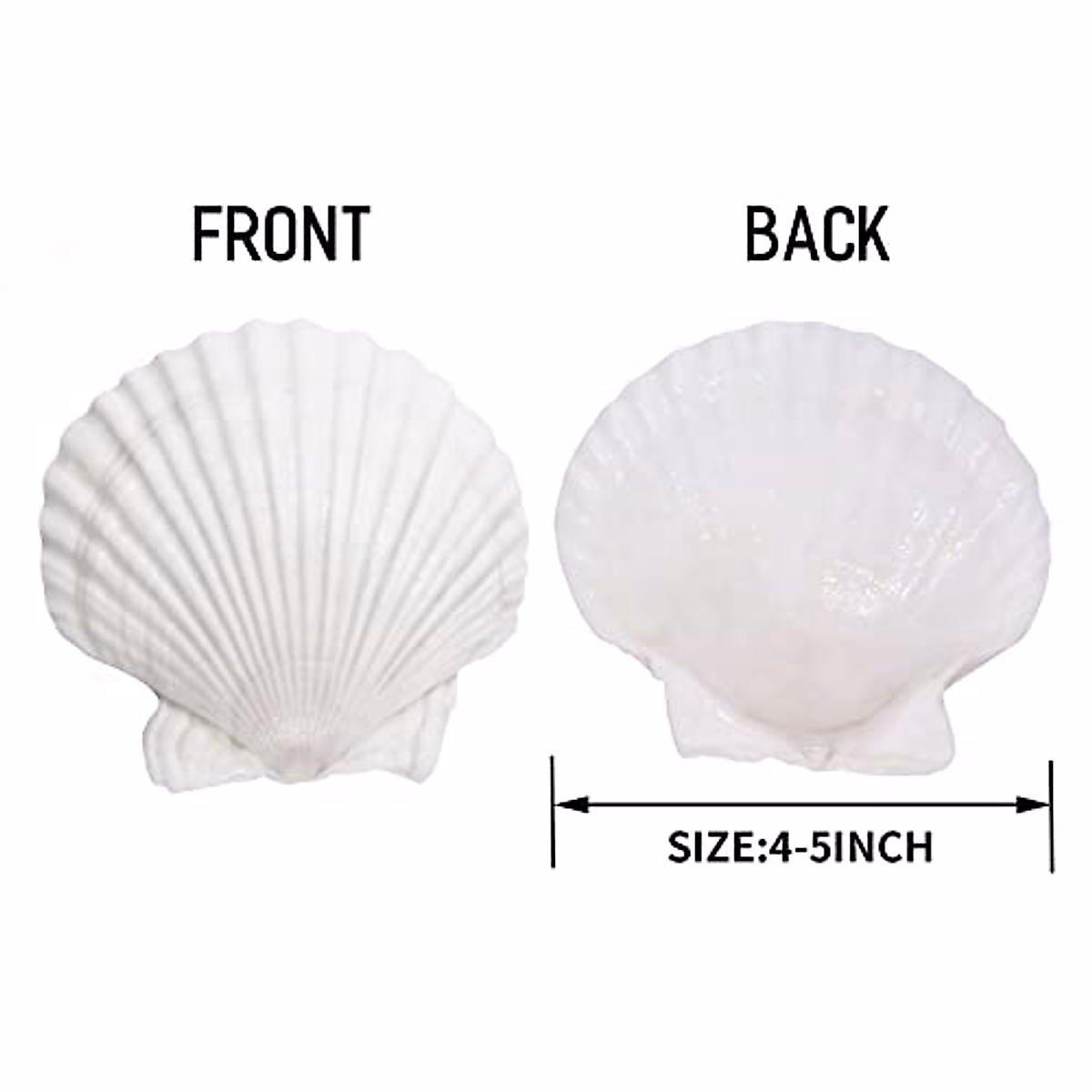 Giftvest 10PCS Sea Shells White Scallop Shells for Crafts Baking Cooking Serving Food, 4-5 inch Large Natural Seashells for DIY Crafts Seashell Beach Decorations for Home Decor