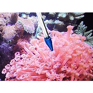 Coral Feeder SPS HPS Feeder, Long Version for Marine Fish and Reef Coral Aquarium CFT-2