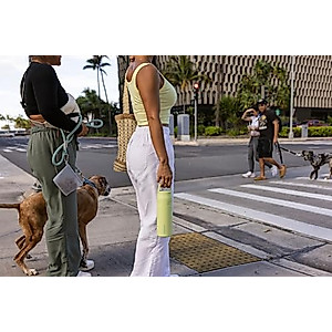 Stanley IceFlow Cap and Carry+ Water Bottle 24 OZ | Wide Mouth Twist Lid | Lightweight & Leakproof for Travel & Gym | Insulated Stainless Steel | BPA-Free | Rose Quartz Glimmer