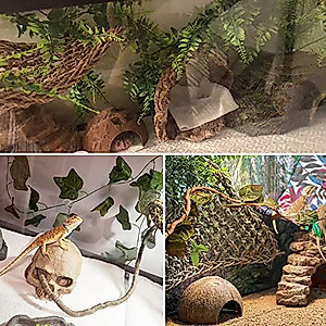 Tfwadmx Reptile Vines Plants Flexible Jungle Climbing Vine Gecko Coconut Coco Shell Hut Terrarium Plastic Plant Lizard Tank Accessories Habitat Decor for Gecko,Snake,Hermit Crab