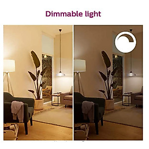 Philips Tunable White ST19 60W Equivalent Dimmable Smart Wi-Fi WiZ Connected Vintage Edison LED Light Bulb (2 Pack), Compatible with Alexa, Google Assistant, and Siri Shortcuts