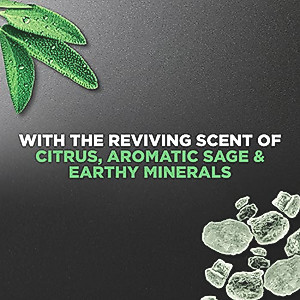 DOVE MEN + CARE Reviving Minerals & Sage Body and Face Wash with 24-Hour Nourishing Micromoisture Technology Body Wash for Men, 13.5 oz