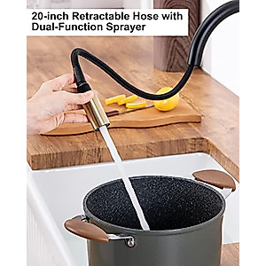 Darnok 79723BX Mia Black and Gold Kitchen Faucet with Pull Down Sprayer, 15.6-inch High-arc Magnetic Docking Kitchen Sink Faucet, Matte Black/Luxe Gold