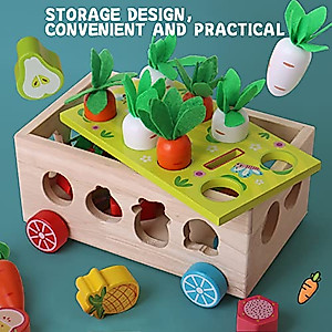 BEAUAM Toddlers Montessori Educational Toys for Boys 2 3 4 Year Old Girls, Wood Shape Classification Toys for Gifts for Children 2-4, Wood Preschool Carrot Harvest Game