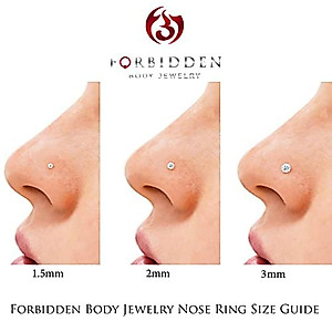 20g Surgical Steel Heart Straight Nose Stud Jewelry