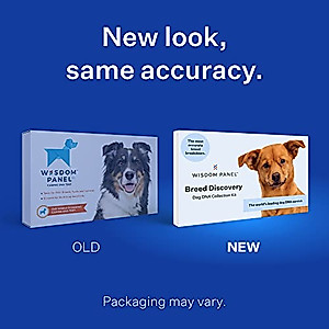 Wisdom Panel Breed Discovery Dog DNA Kit: Most Accurate Dog Breed Identification, Test for 350+ Breeds, MDR1 Health Test, Ancestry, Relatives