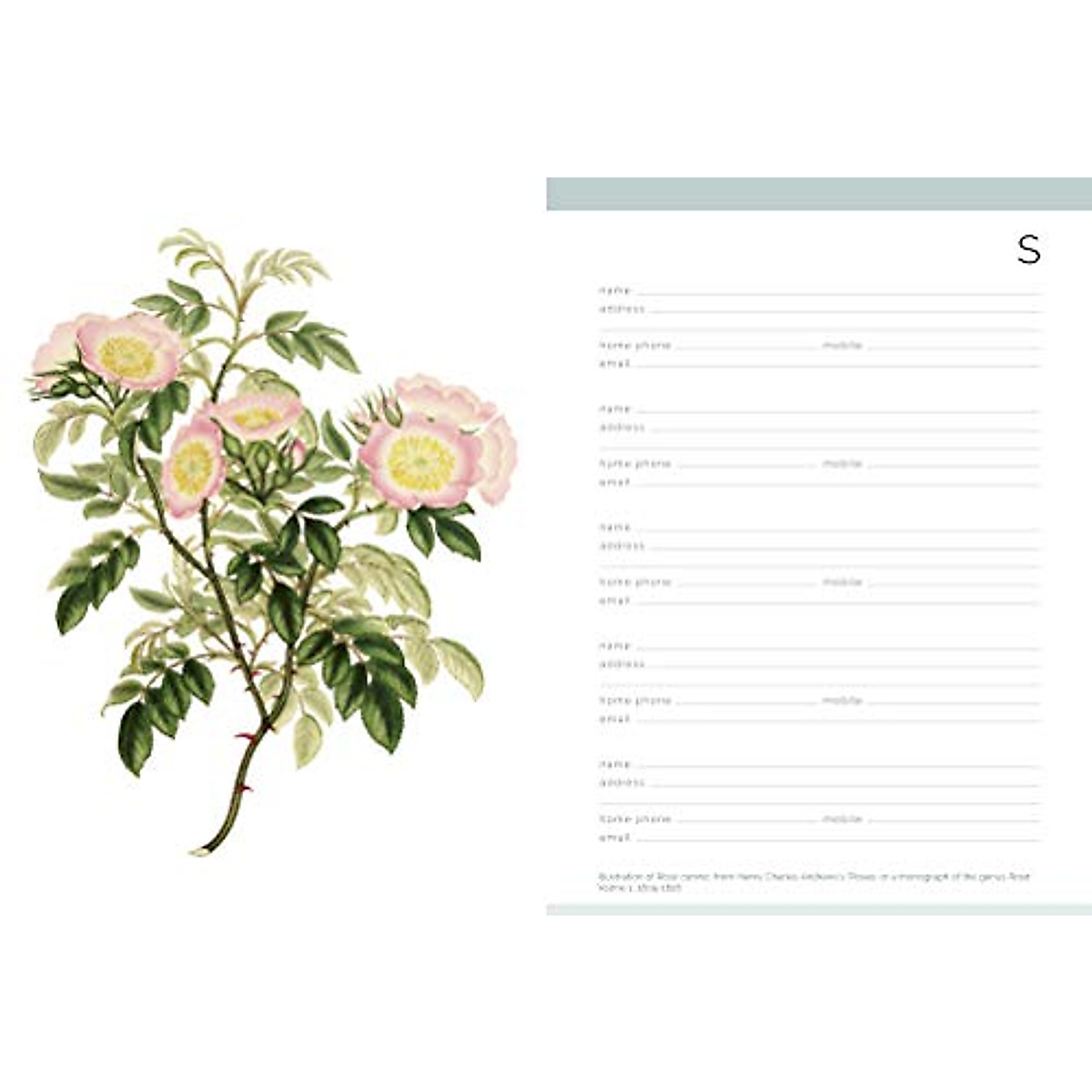 Royal Horticultural Society Desk Address Book