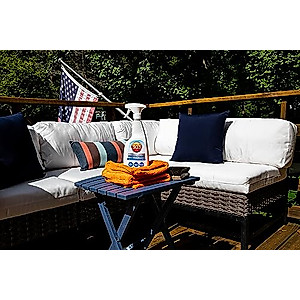 303 Products Aerospace Protectant – UV Protection – Repels Dust, Dirt, & Staining – Smooth Matte Finish – Restores Like-New Appearance – 32 Fl. Oz. (30313-6PK)