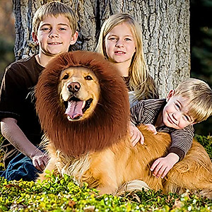 Dog Halloween Costumes Lion Mane for Dog Halloween Party Realistic and Funny Lion Wig Clothes for Large Medium Sized Dogs for Cosplay